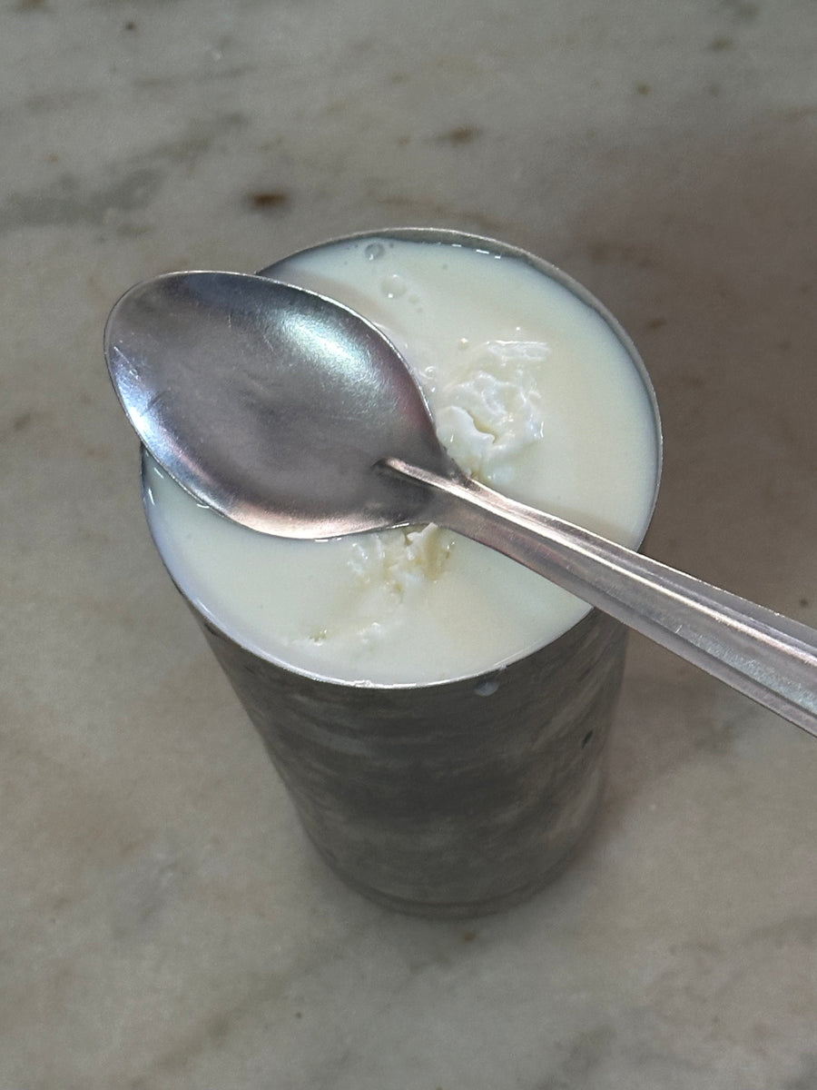 Gian Lassi in Amritsar – Rani's Cuisine